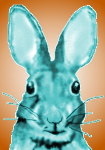 The Magic Field « Gary Bonn